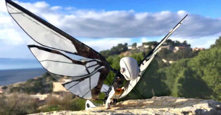 MetaFly: deze op afstand bestuurbare robotvlieg is immens populair