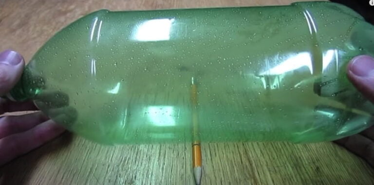 Zelf een muizenval maken die nog diervriendelijk is ook